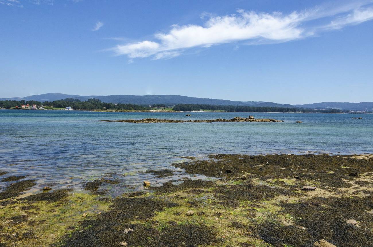 Isla de La Toja (O Grove) · Fotos, opiniones, cómo llegar...